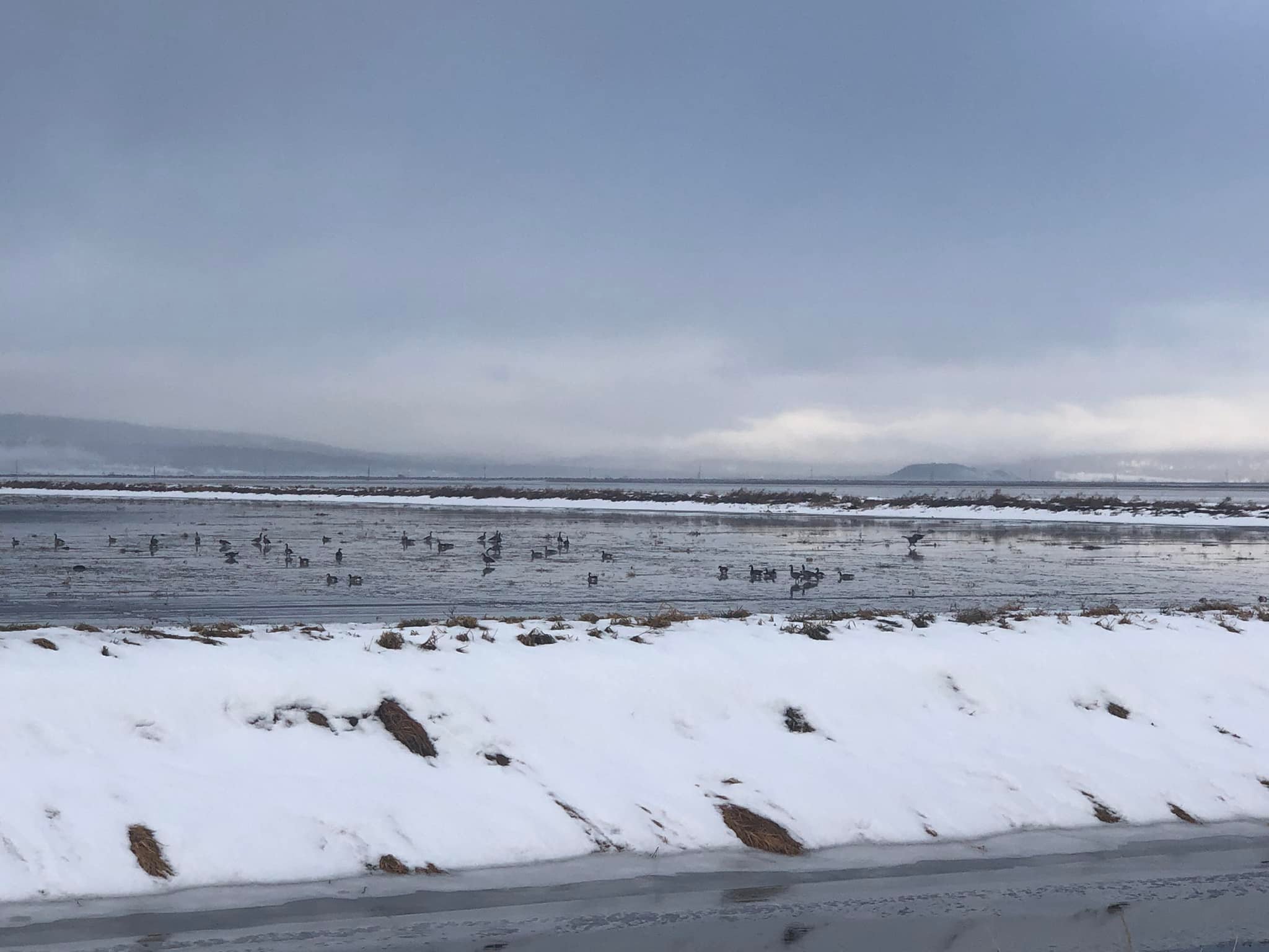 The Benefits of Klamath Drainage District's Winter Flooding - KDD